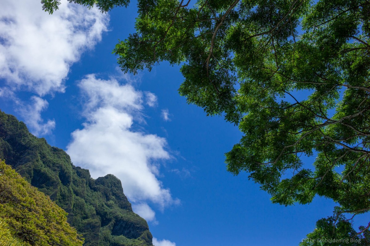 淺談融入 – The Emboldening Blog